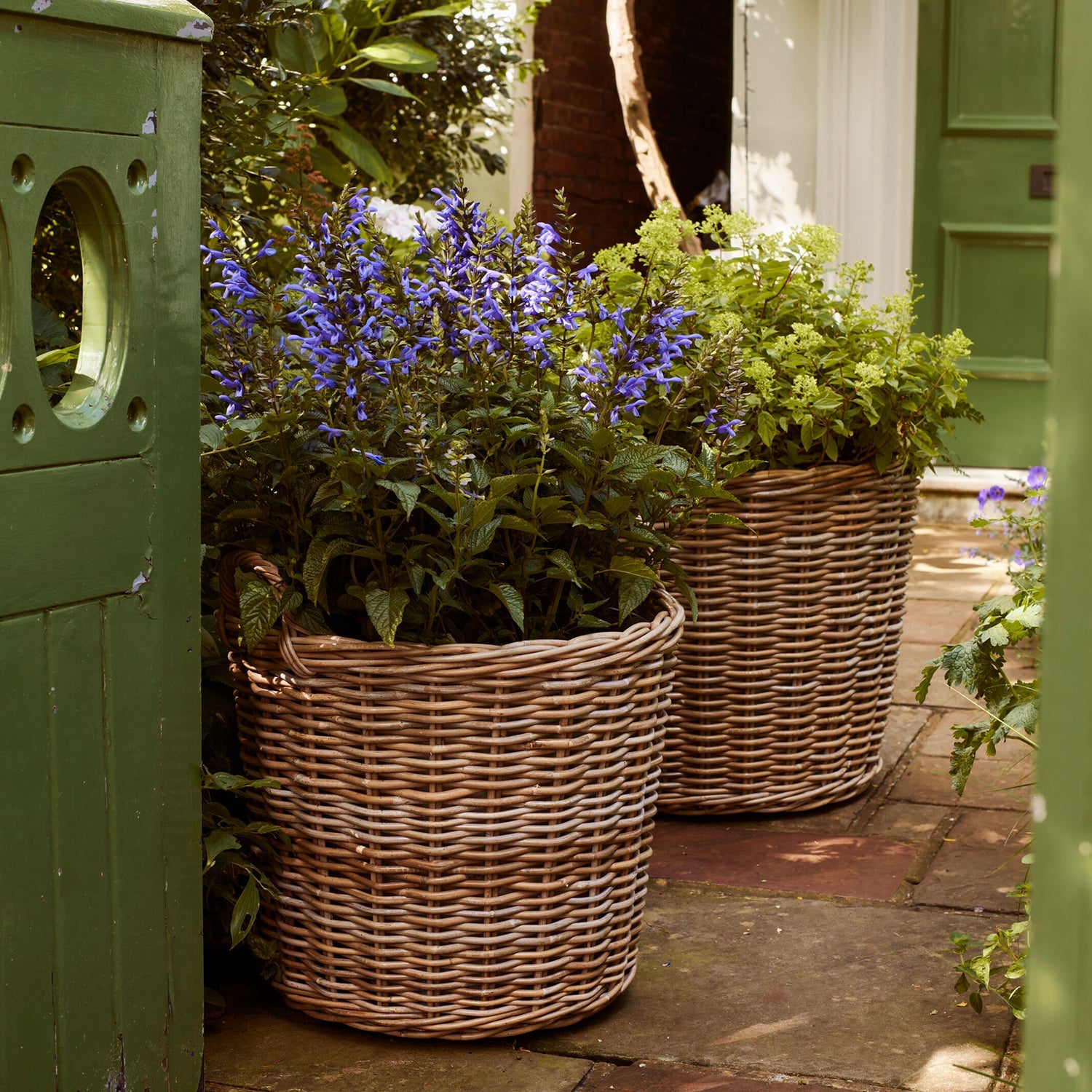 Pots & planters – Neptune