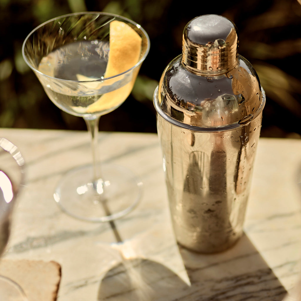 Regent Cocktail Shaker – Neptune