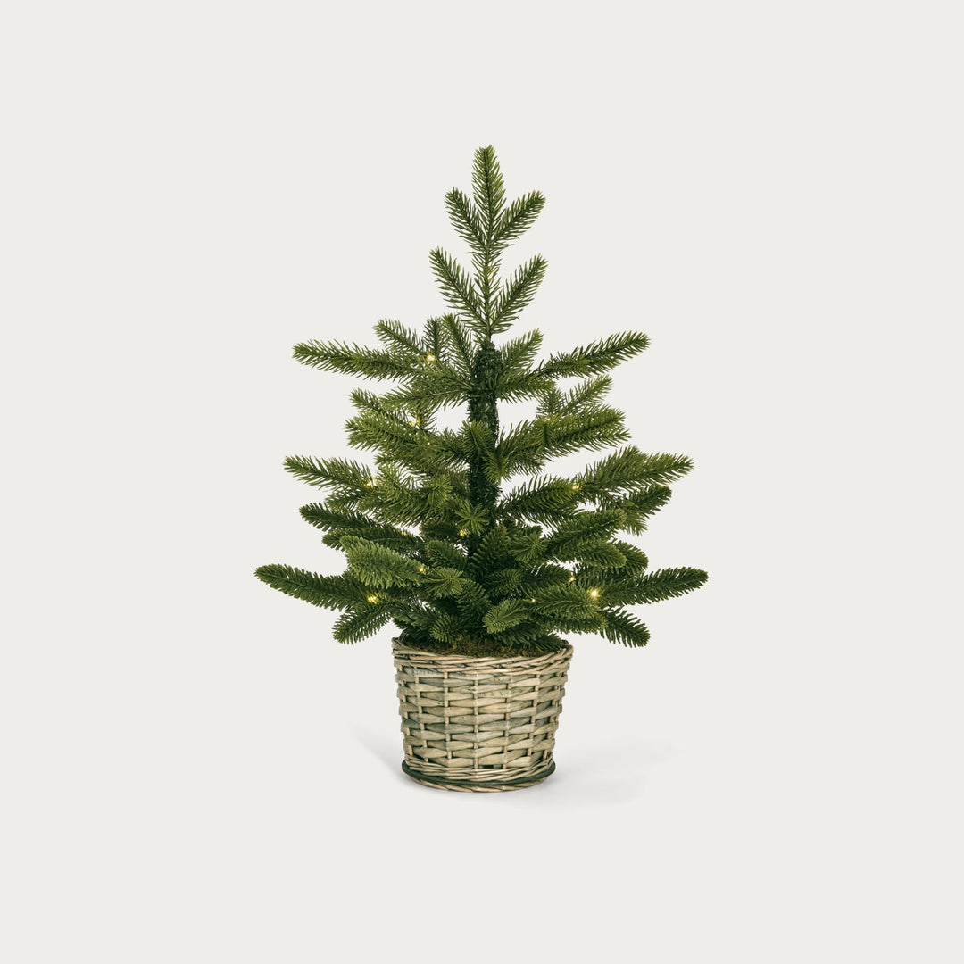 Normand Tabletop Pre-lit Christmas Tree – Neptune
