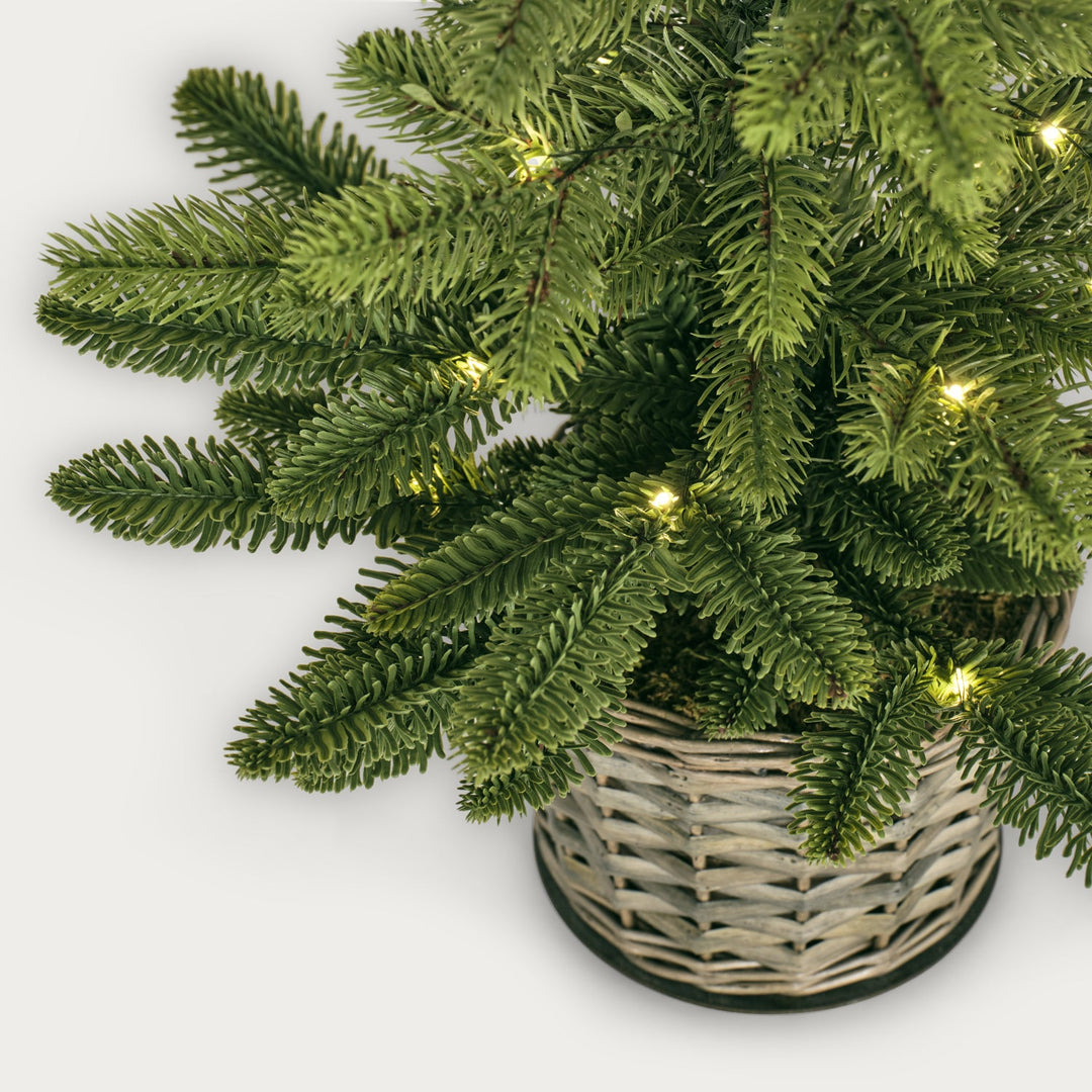 Normand Tabletop Pre-lit Christmas Tree – Neptune