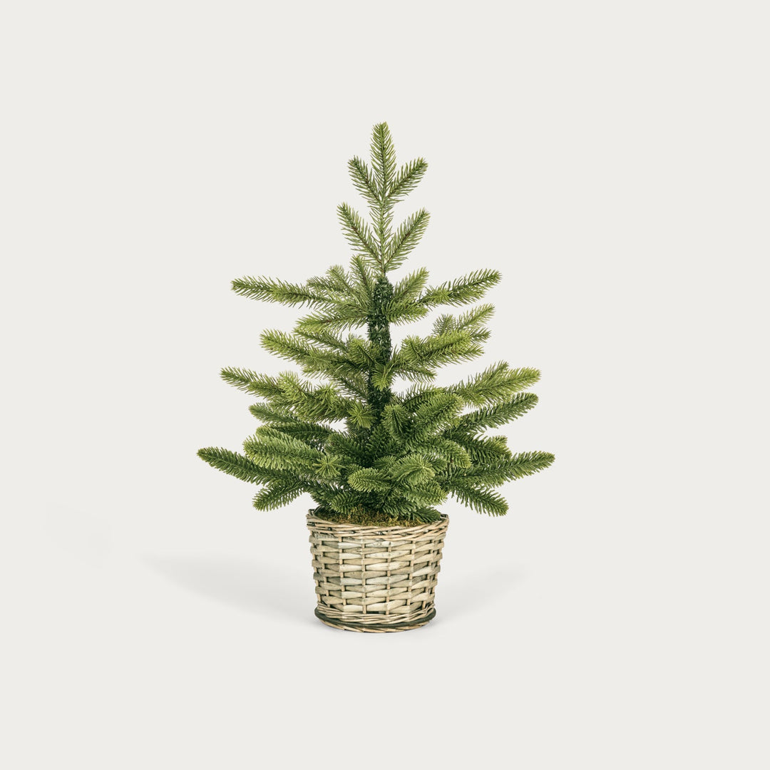 Normand Tabletop Pre-lit Christmas Tree – Neptune