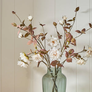 Decorative Home Accessories – Neptune
