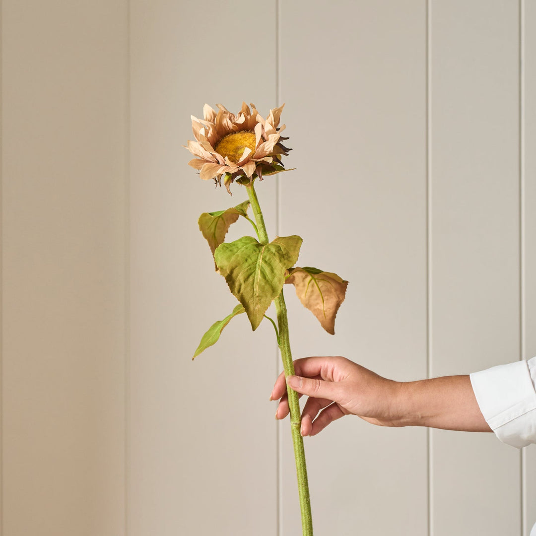 Sunflower Stem, Light Brown – Neptune