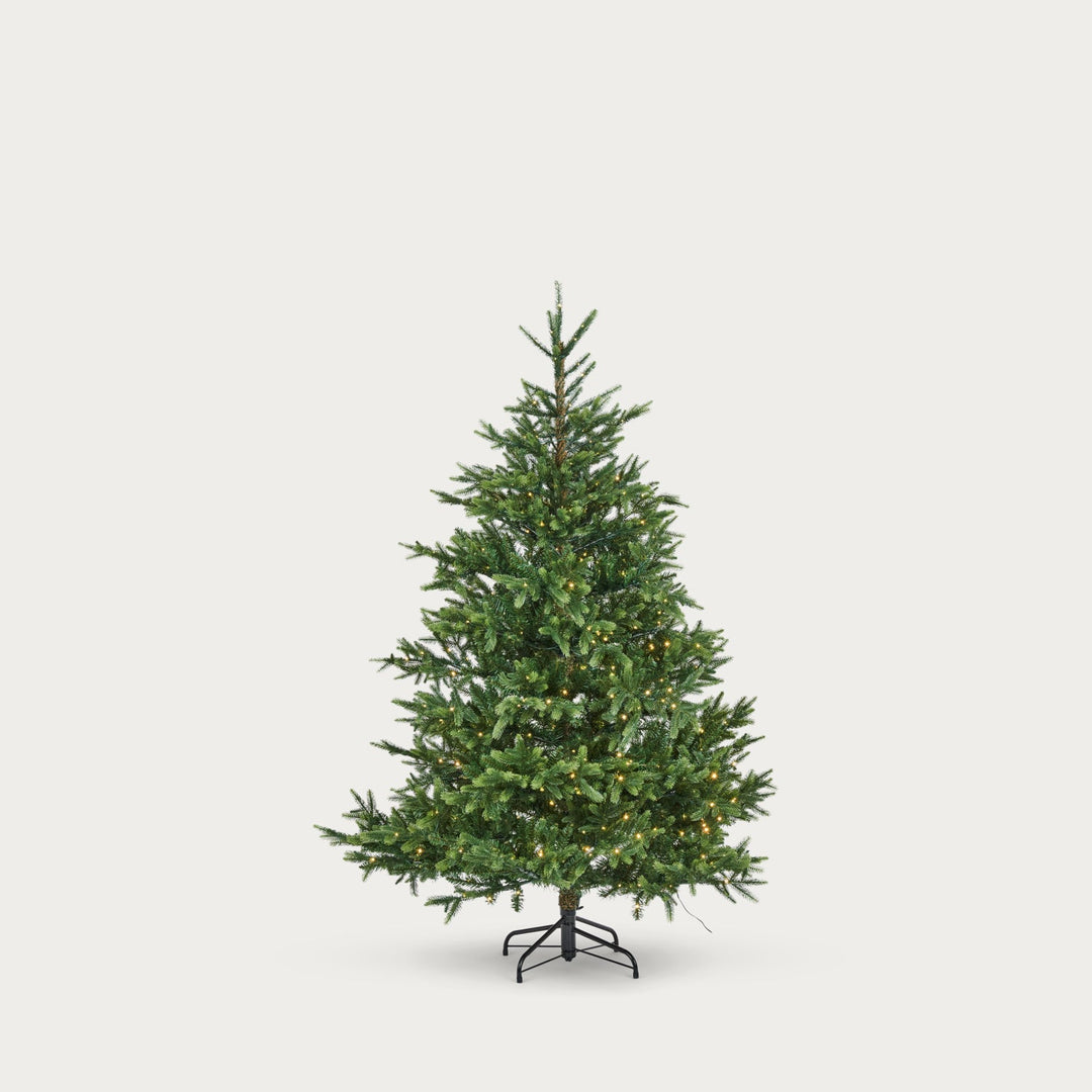 Windsor 6ft Pre-lit Christmas Tree – Neptune