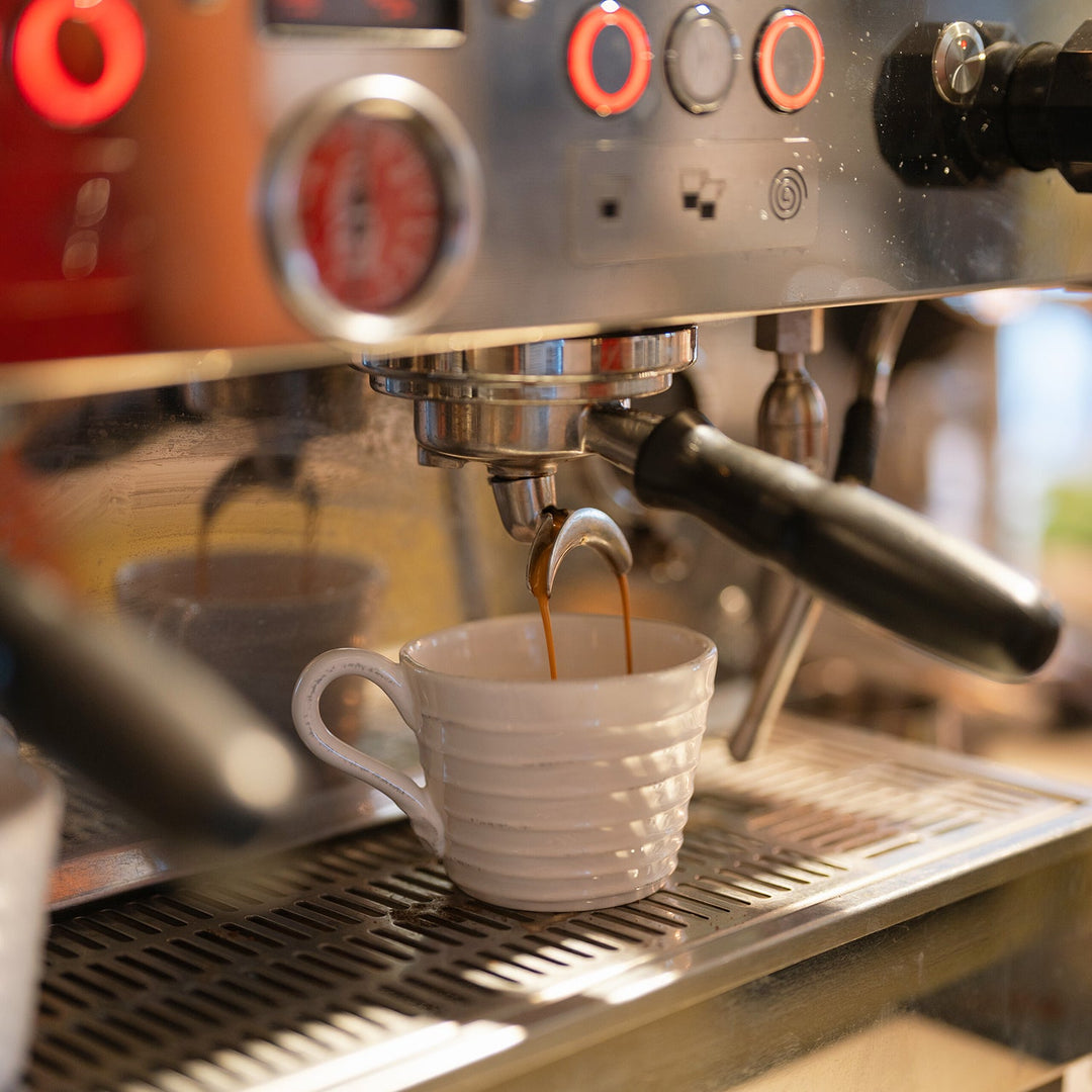 The Provenist | Café & Restaurant in Swindon – Neptune