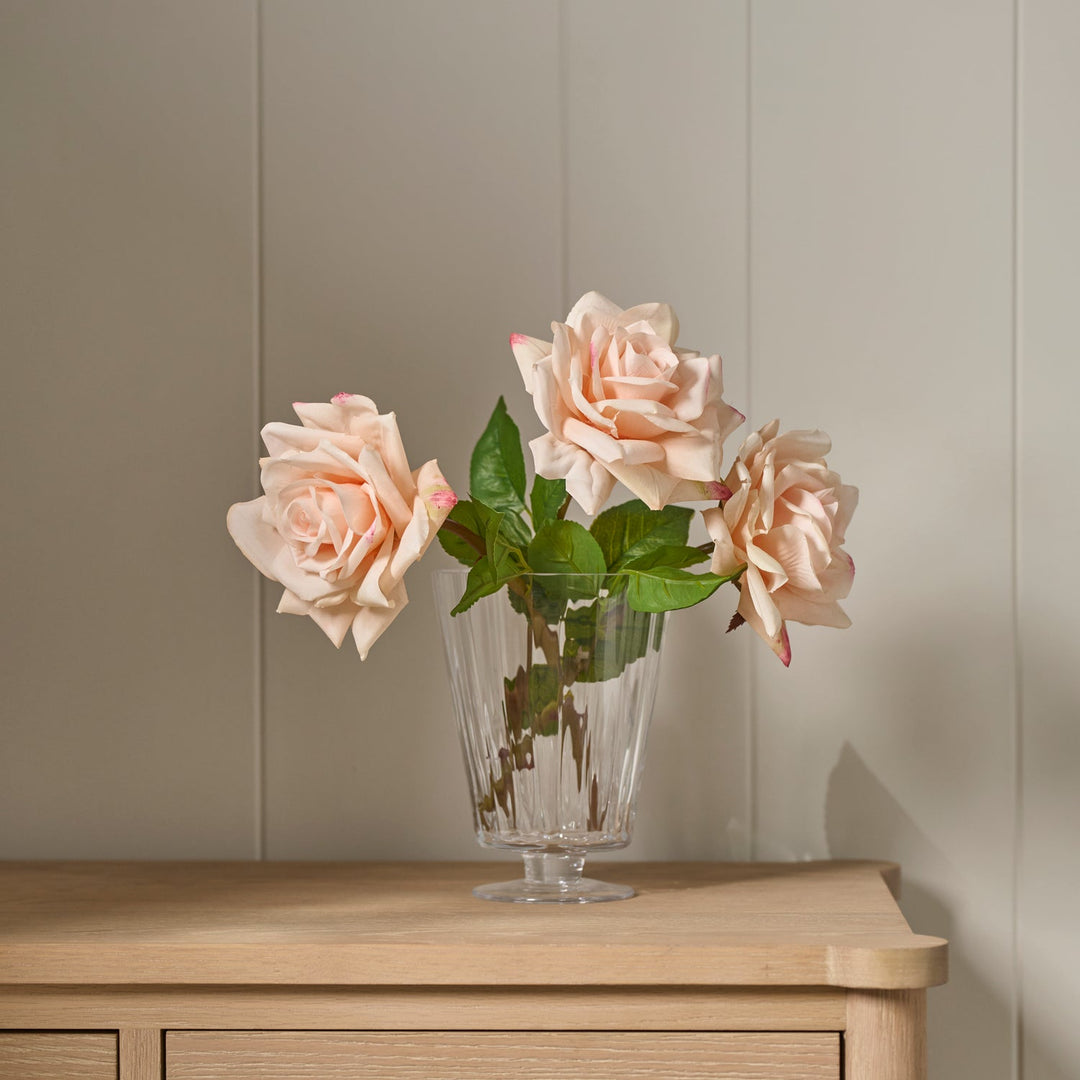 Rose Stem, Pink – Neptune