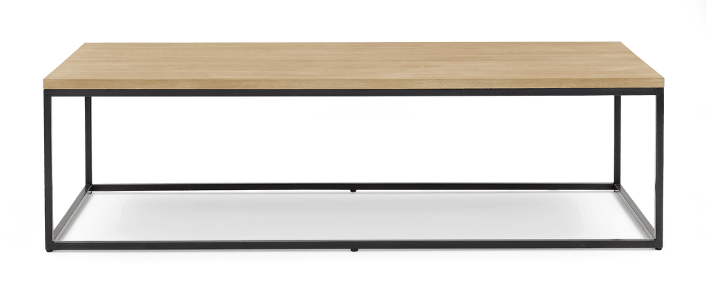 Carter Large Coffee Table – Neptune