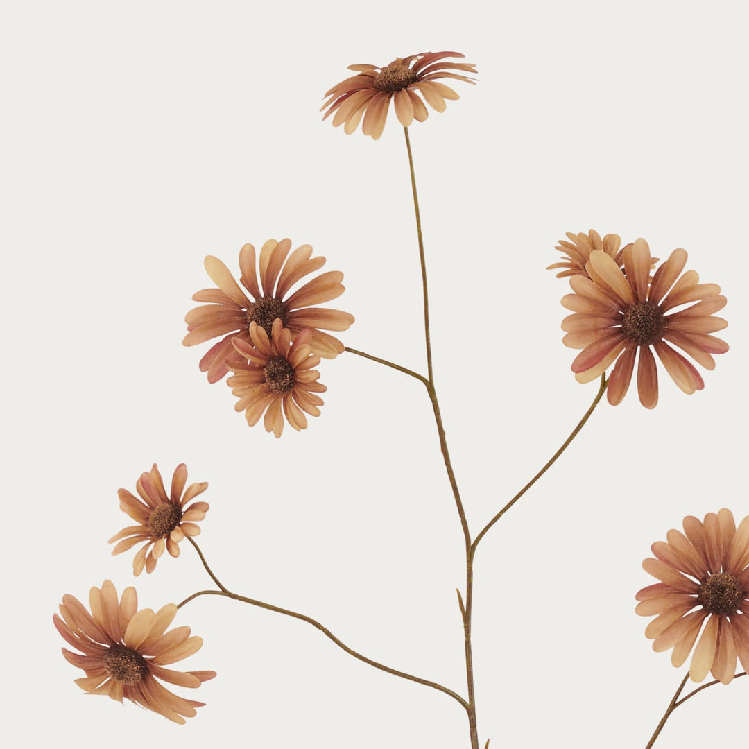 Peony Spray - Burgundy – Neptune