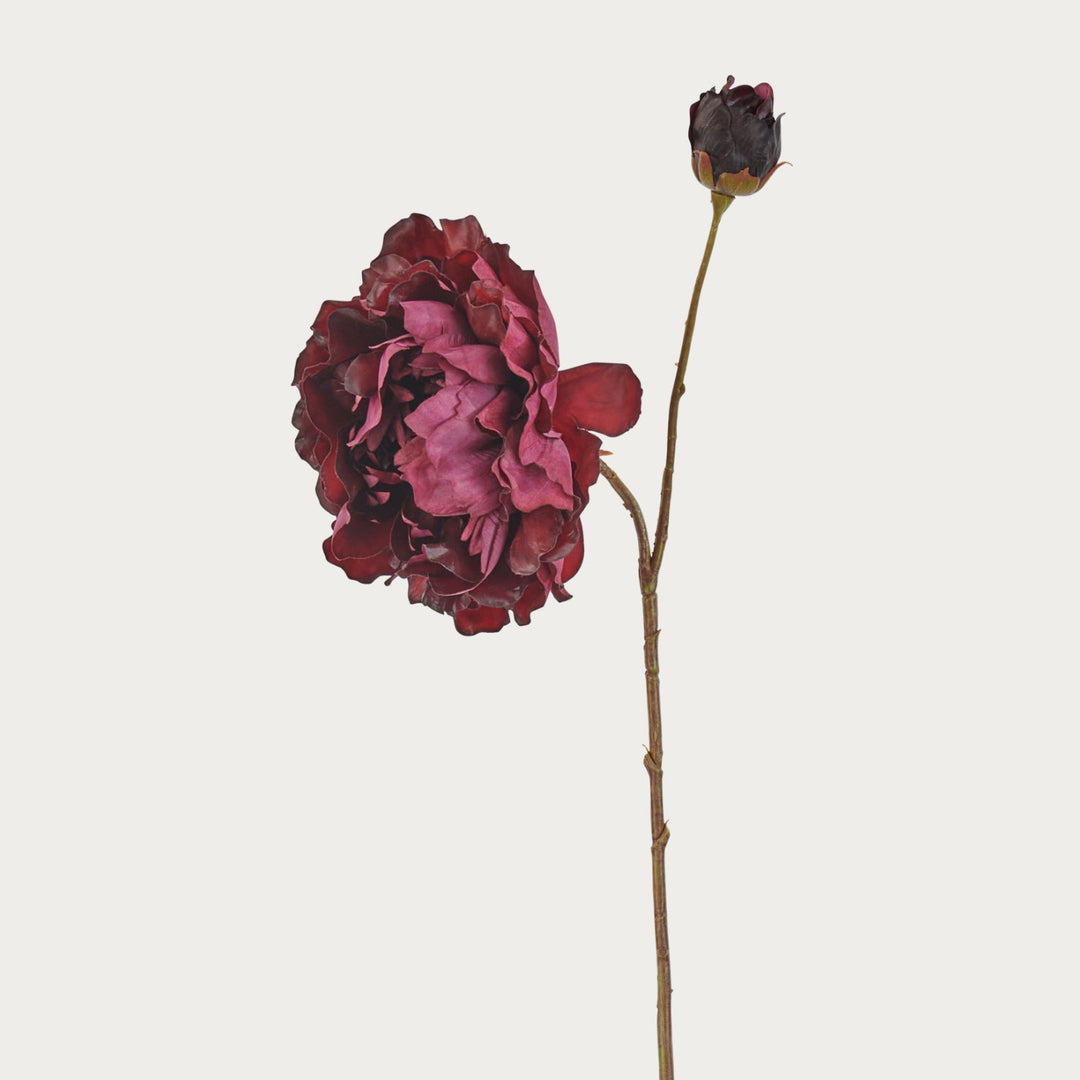 Peony Spray - Burgundy – Neptune
