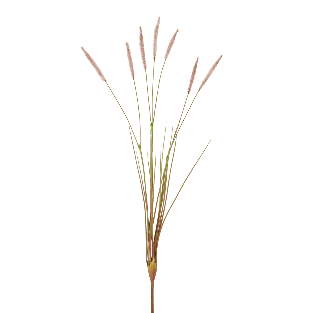 Wild Stem - Pink – Neptune