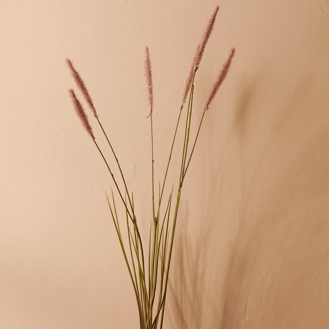 Wild Stem - Pink – Neptune