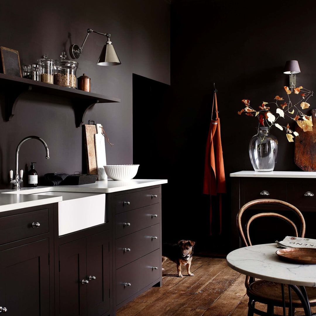 Chestnut Paint – Neptune
