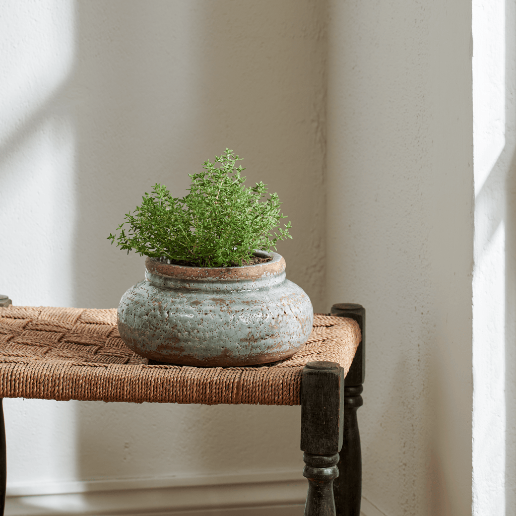 Broseley Low Pot – Neptune