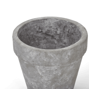 Tarragon Terracotta Pot – Neptune