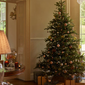 Christmas – Neptune