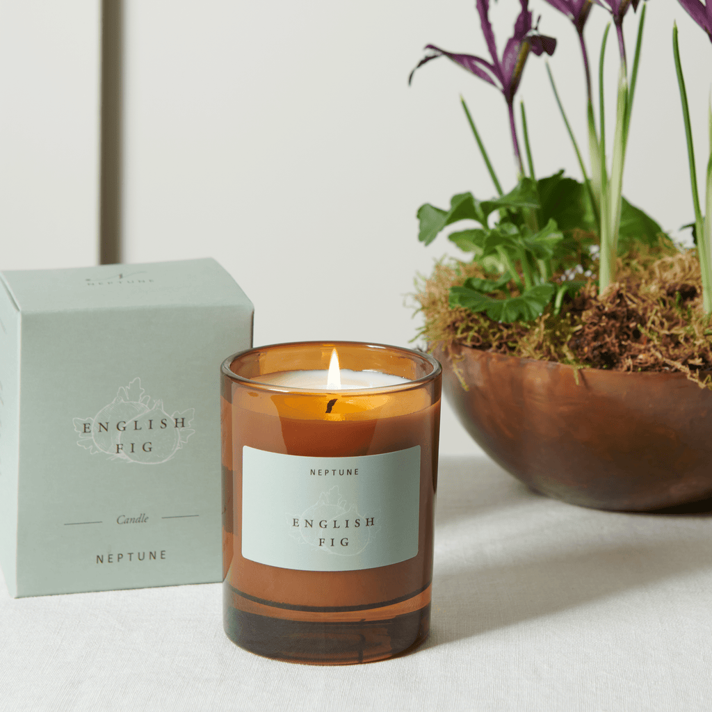 English Fig Candle – Neptune