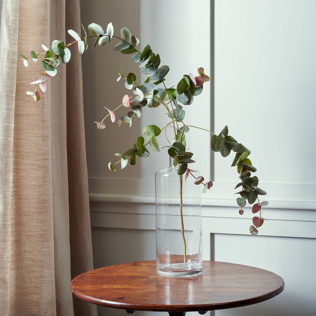 Eucalyptus Red Box Spray – Neptune