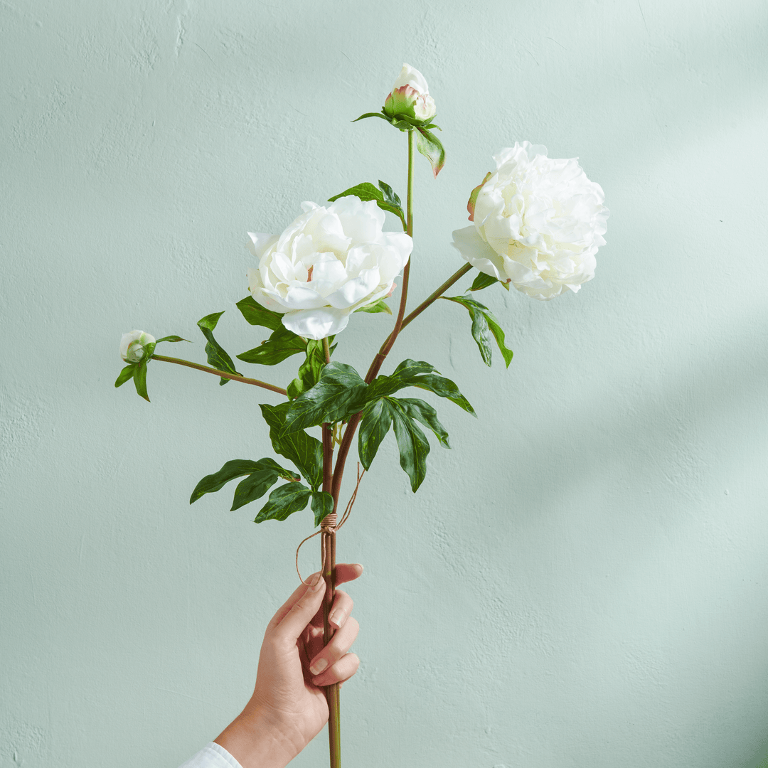 Peony Spray, Pink – Neptune