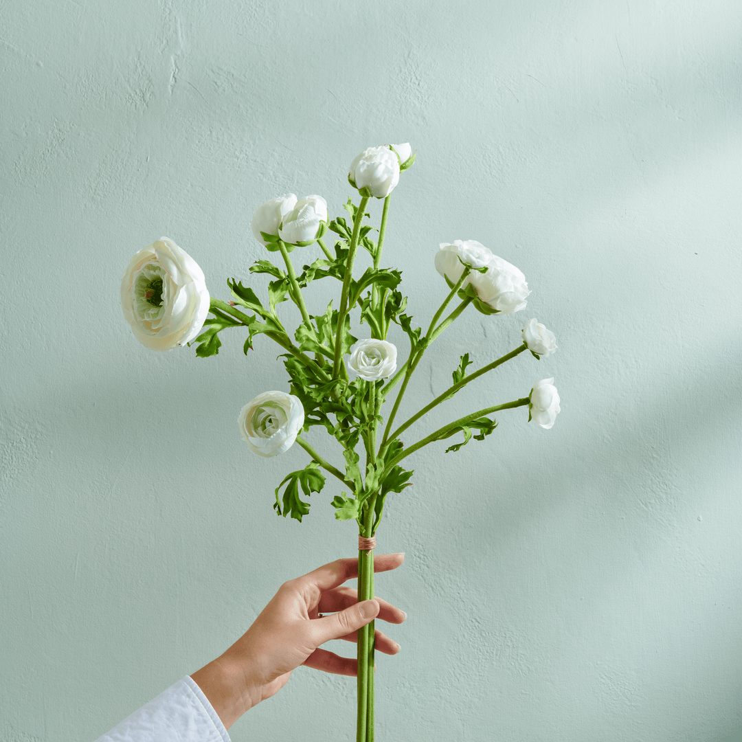 Ranunculus Bundle, White – Neptune