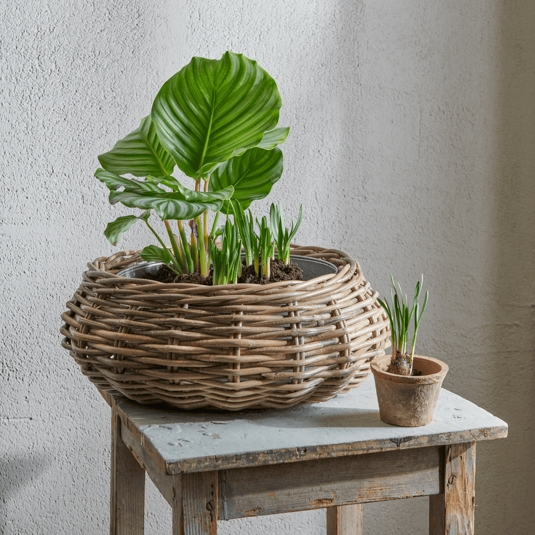 Tetbury Planter – Neptune