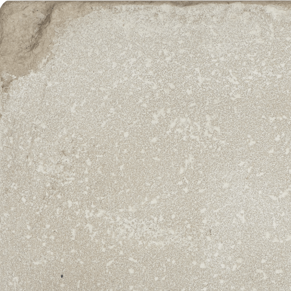 Flooring – Neptune